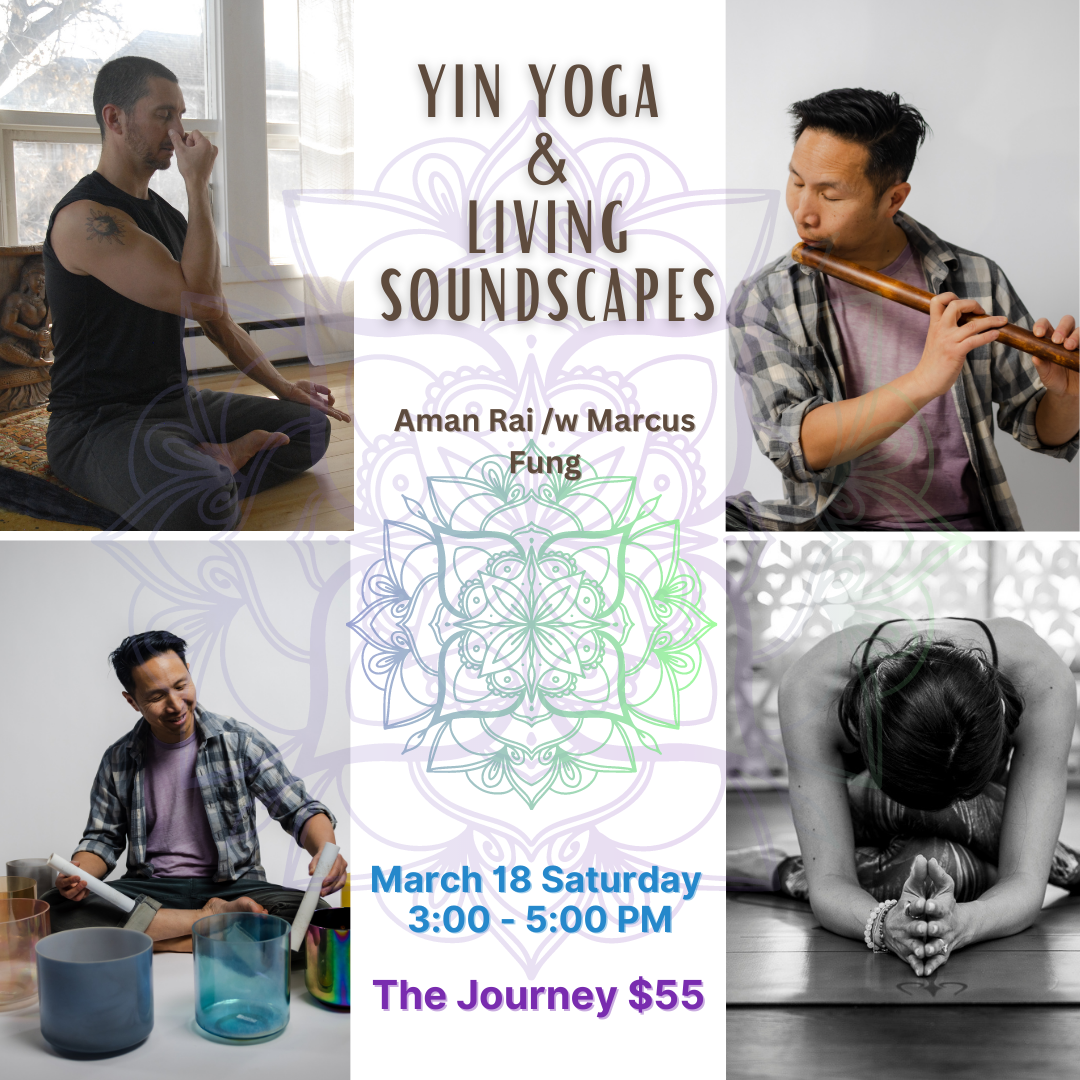 Yin Yoga & Sound | Sacred Seed Yoga & Ayurveda